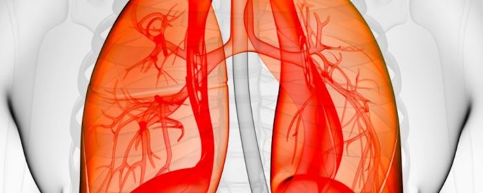 5 Dicas para melhorar a saúde dos seus pulmões em pouco tempo - Manual ...